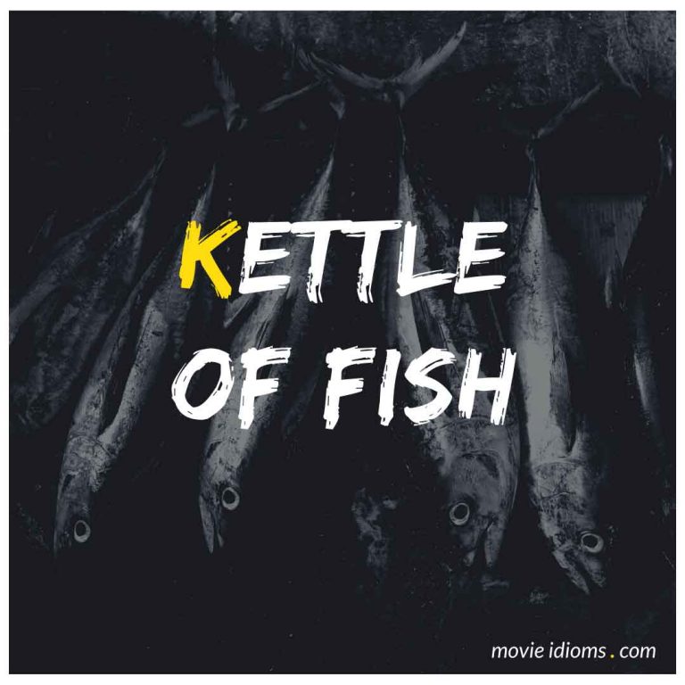 Kettle of Fish: Idiom Meaning & Examples - Movie Idioms